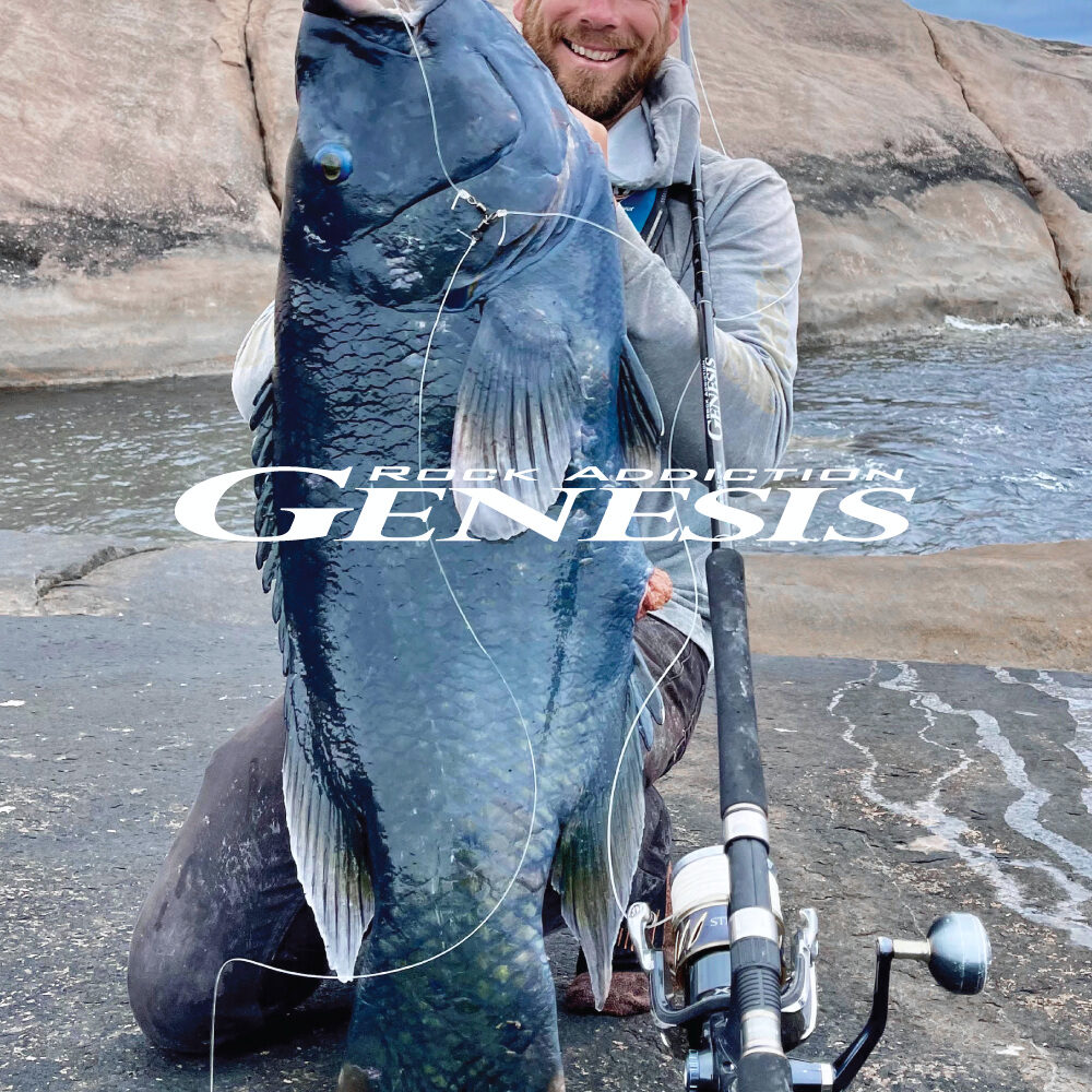 Genesis – Rock Addiction - Ocean's Legacy