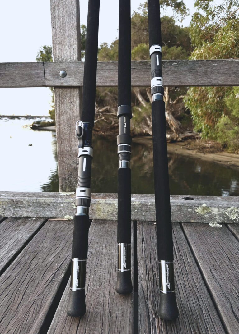 Backline – Big Bait Special - Ocean's Legacy