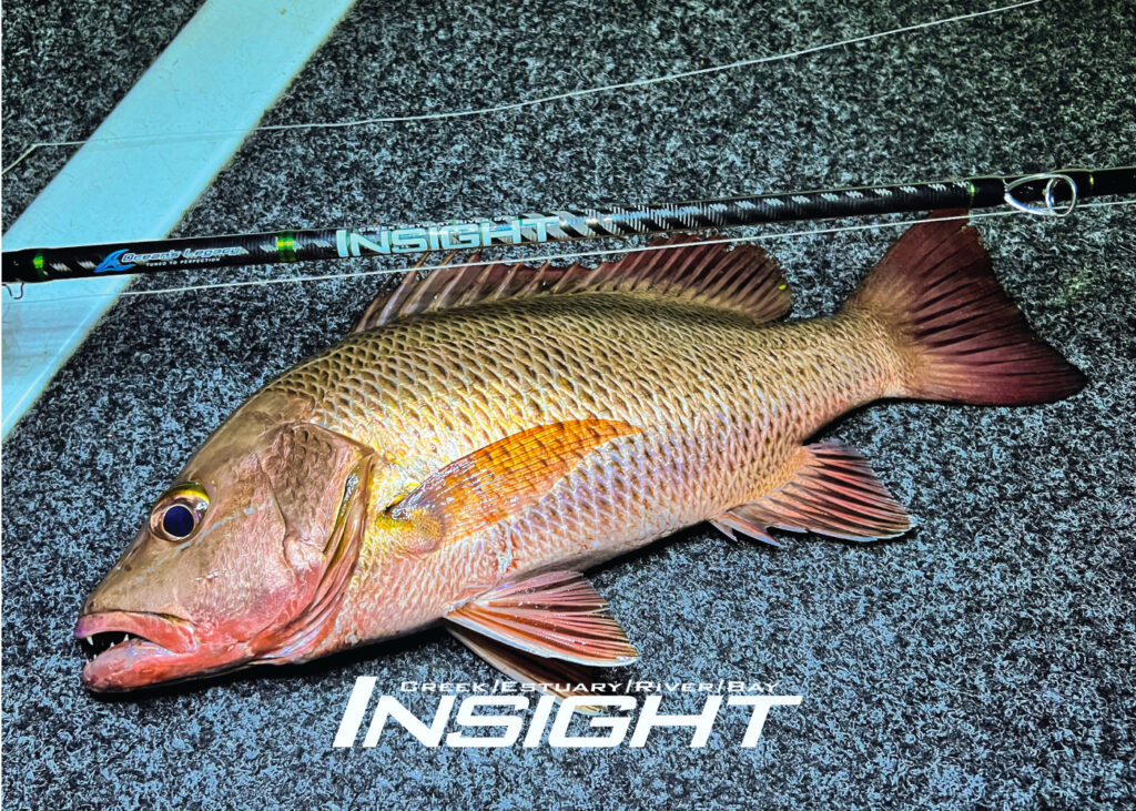 Insight – Creek/Estuary/River/Bay - Ocean's Legacy