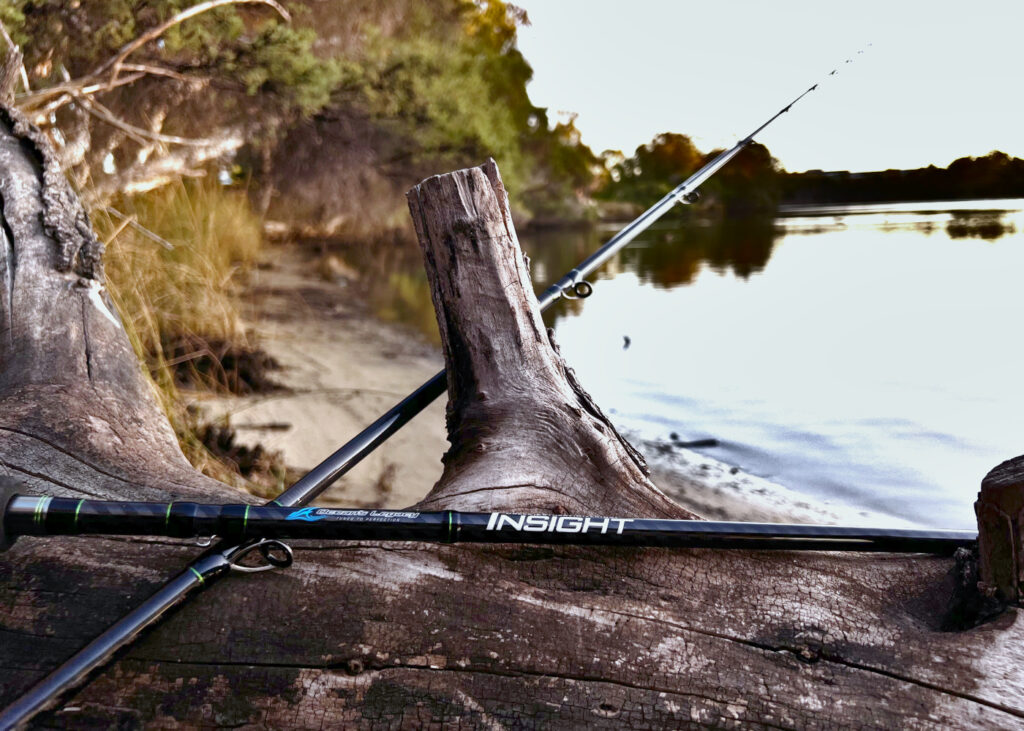 Insight – Creek/Estuary/River/Bay - Ocean's Legacy