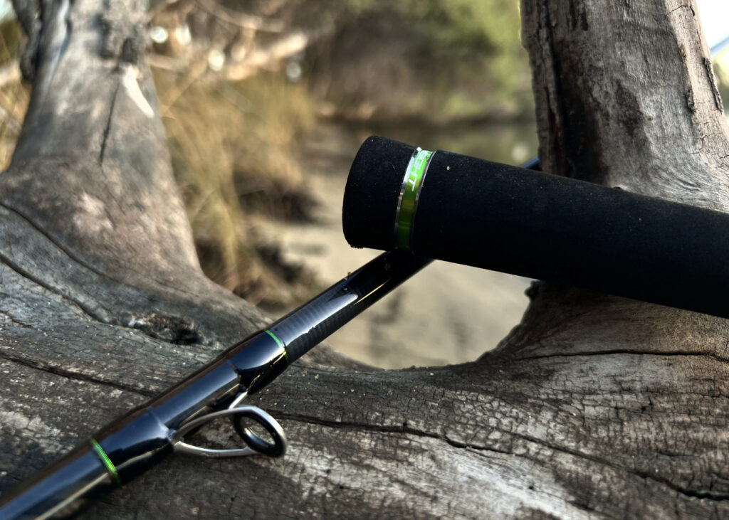 Insight – Creek/Estuary/River/Bay - Ocean's Legacy