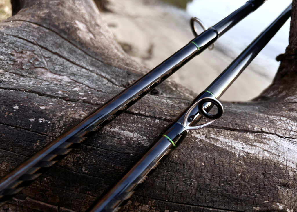 Insight – Creek/Estuary/River/Bay - Ocean's Legacy